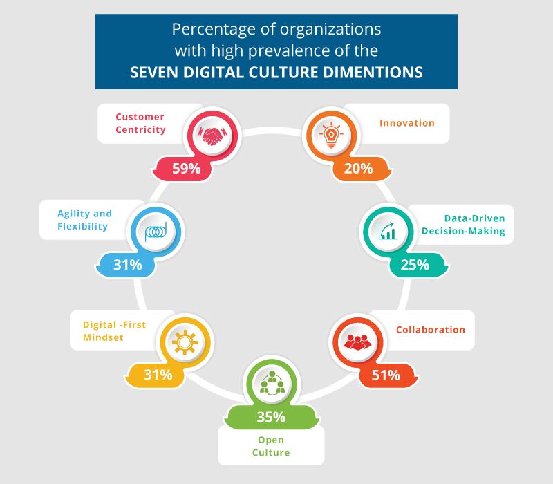 Becoming a Digital Organization | Research Optimus